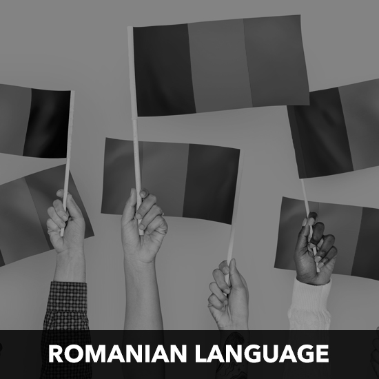 Romanian Language - Multiplayer Team Training